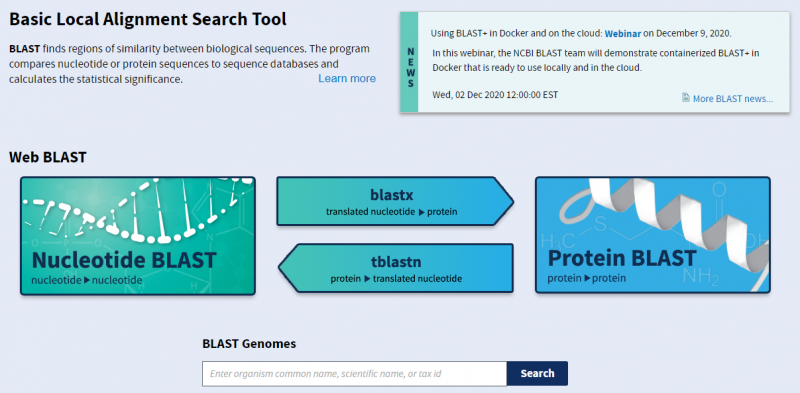 Bioinformatics BLAST-off! | Amgen Biotech Experience