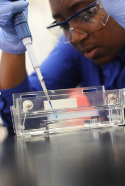 Pipetting 101: Tips and Tricks to Help Everyone Master the Use of a ...