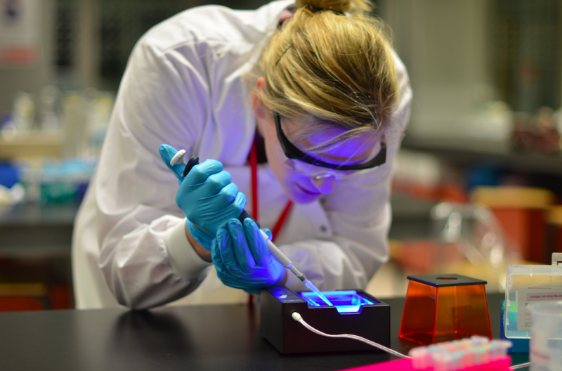 Creating Strong Bridges to Biotech: Professional Development in Action ...