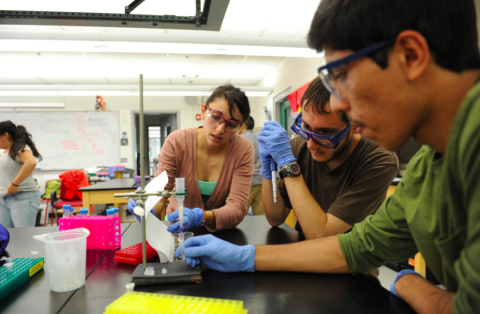 Learning to Understand Their Own DNA | Amgen Biotech Experience